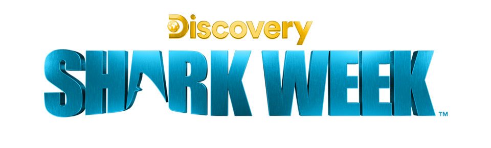 Watch Shark Week | HBO Max