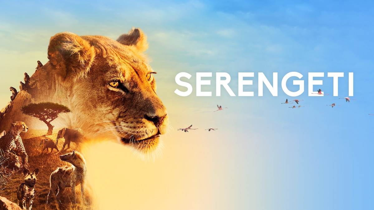 discovery+ | Stream Real-Life TV Episodes