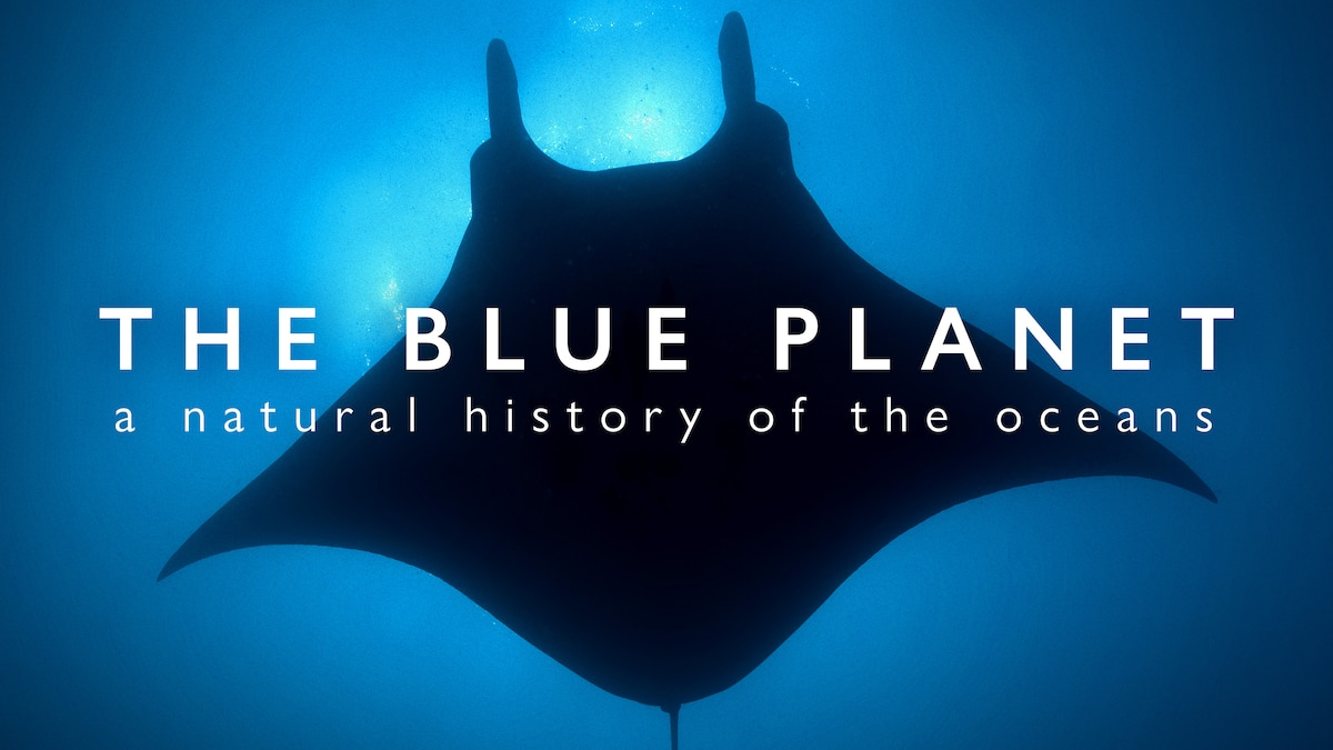 discovery+ | Stream Real-Life TV Episodes