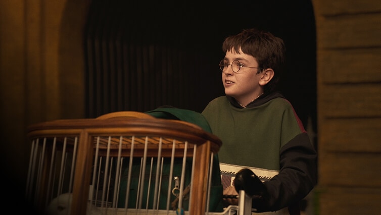 Ver Harry Potter y la Piedra Filosofal | Temporada 1 | HBO Max