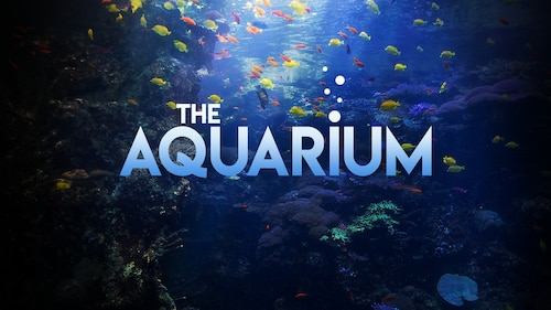 Watch The Aquarium Season 2 Episode 6 - Four Chicks and Counting | HBO Max