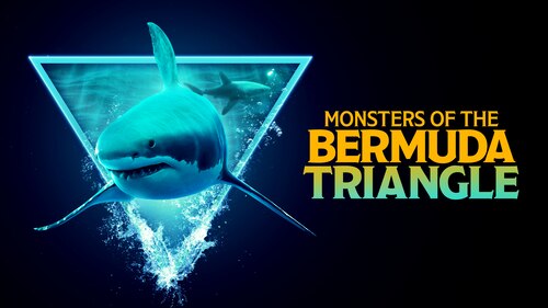 Watch Monsters of the Bermuda Triangle | discovery+