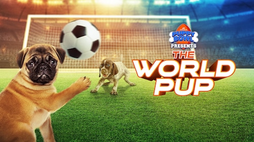 Watch Puppy Bowl Presents: The World Pup | HBO Max