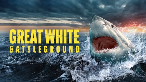 Watch Great White Battleground | HBO Max