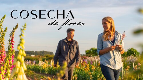 Ver Cosecha de flores | Max
