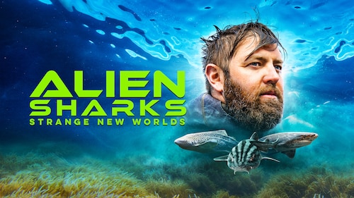 Watch Alien Sharks: Strange New Worlds | Max