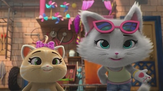 Ver 44 Gatos | HBO Max