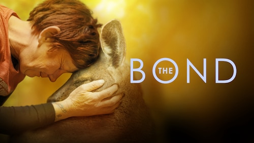 Watch The Bond | HBO Max