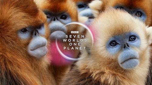 Watch Seven Worlds, One Planet | discovery+