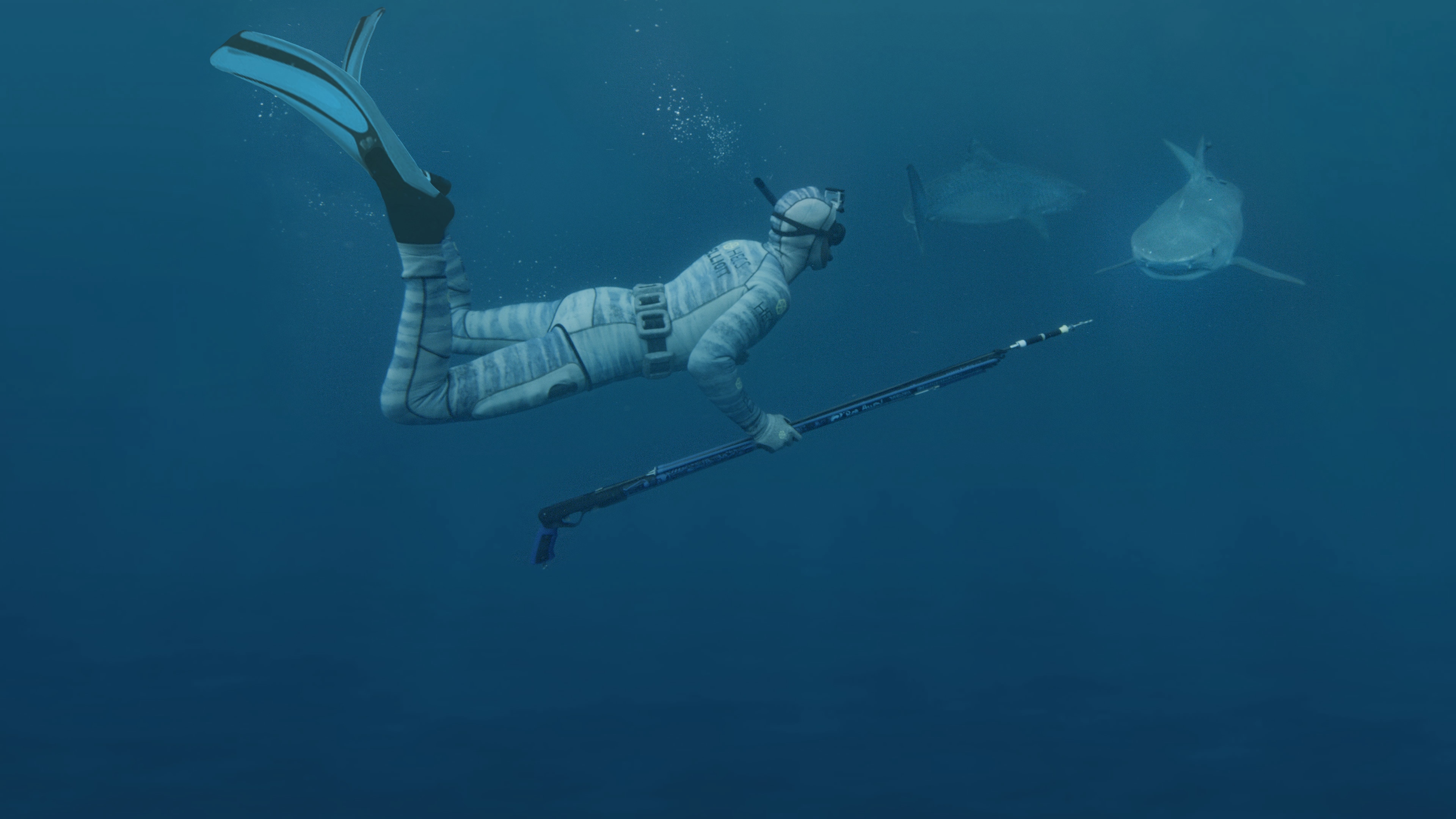 Watch The Sharks of Headstone Hell | Max