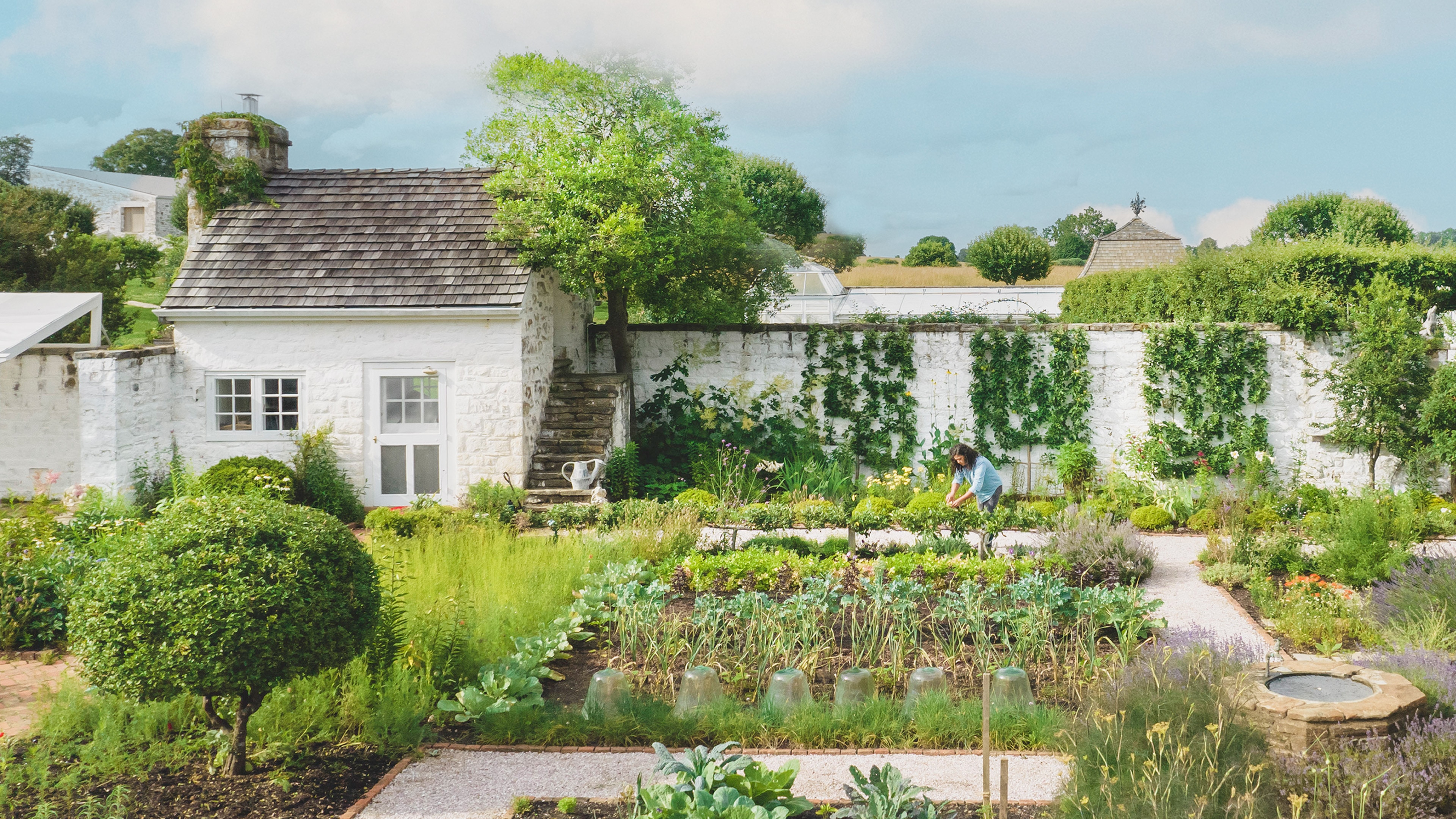 Watch The Garden Chronicles | HBO Max