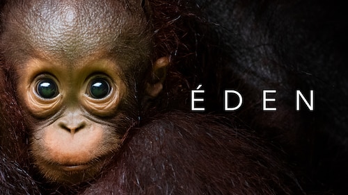 Watch Eden Season 1 Episode 3 - Luangwa - The Emerald Valley | HBO Max