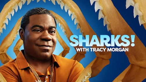 Watch SW22: Tracy Morgan Presents: Sharks! with Tracy Morgan | HBO Max