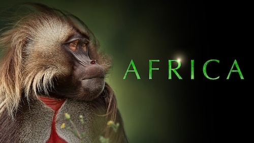 afrikids documentary