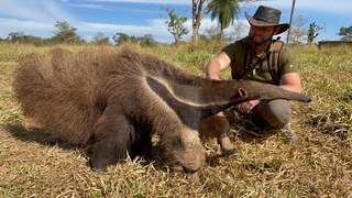 Watch Mysterious Creatures With Forrest Galante | Max