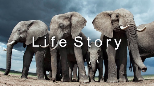 Watch Life Story | Season 1 Episode 2 | HBO Max
