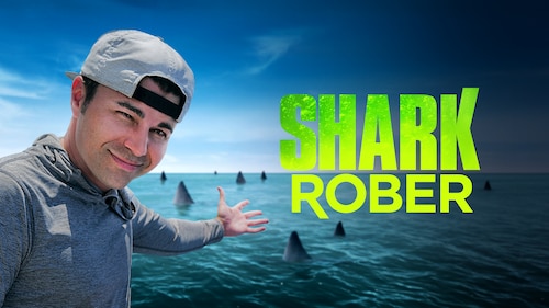 Watch Shark Rober | discovery+