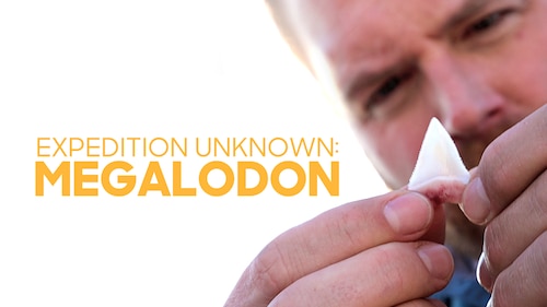 Watch Expedition Unknown: Megaladon | HBO Max