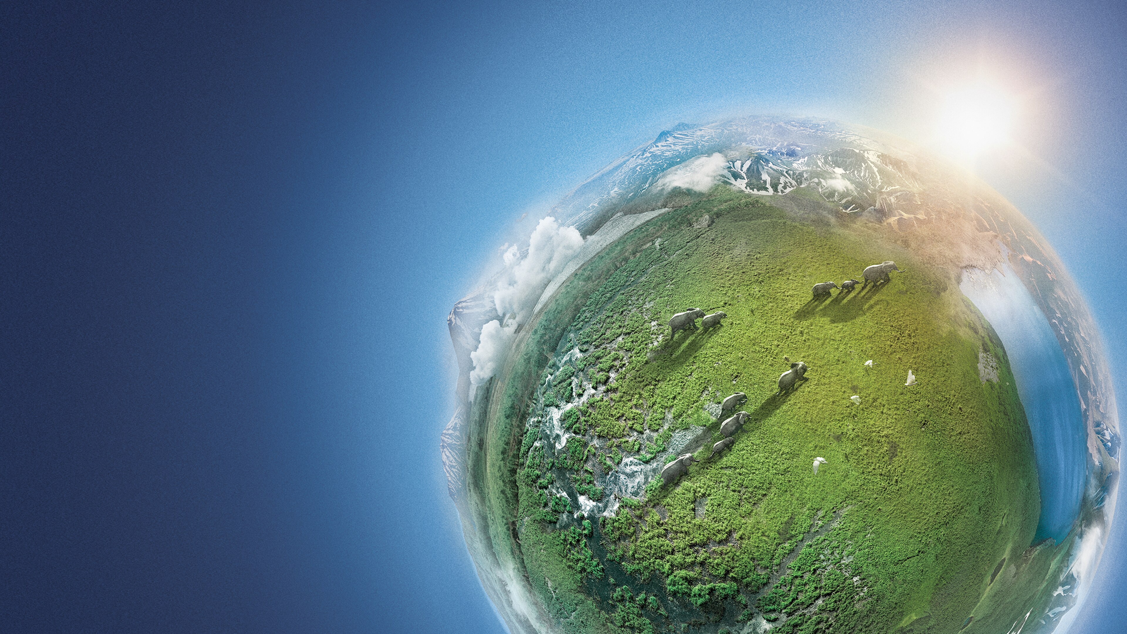 Ver Planeta Tierra II | HBO Max