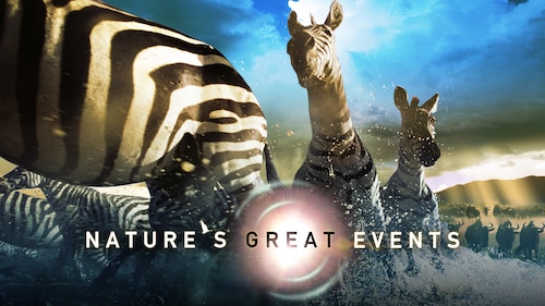 Watch Nature's Great Events | discovery+