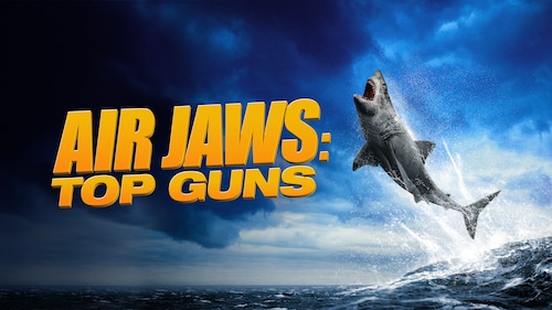 Watch Air Jaws: Top Guns | discovery+