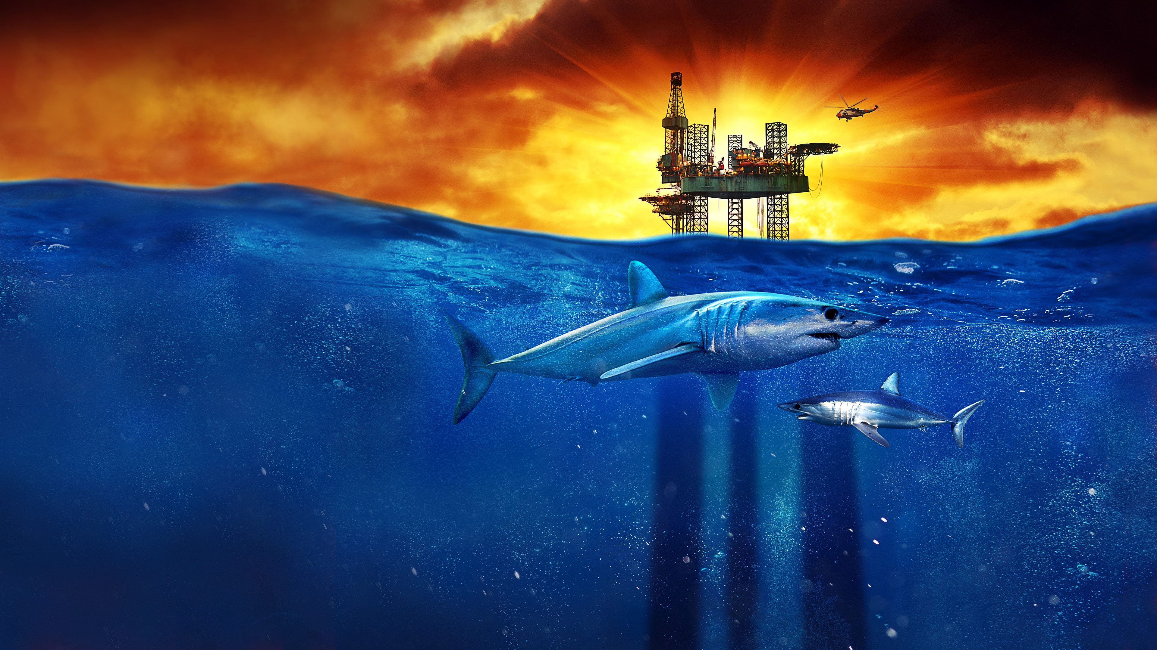 Watch Monster Mako: Under the Rig | HBO Max