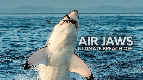 Watch Air Jaws: Ultimate Breach Off | HBO Max