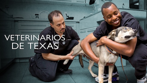 Ver Veterinarios de Texas Temporada 6 Episodio 5 - El halcón | HBO Max