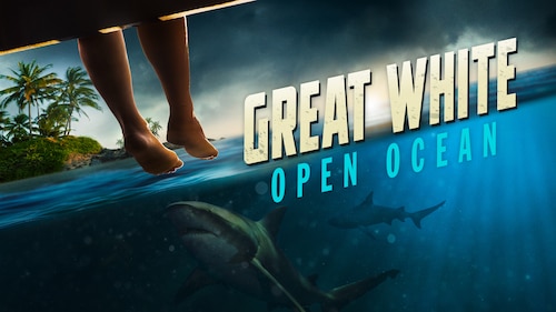 Watch Great White Open Ocean | discovery+