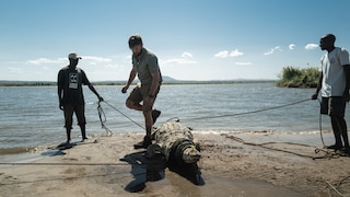 Watch Mysterious Creatures With Forrest Galante | Max