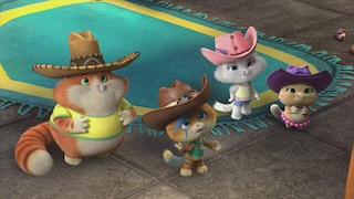 Ver 44 Gatos | HBO Max