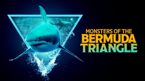 Regarder Monsters of the Bermuda Triangle | discovery+