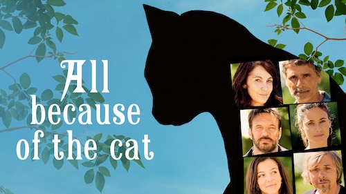 Watch All Because of the Cat | HBO Max