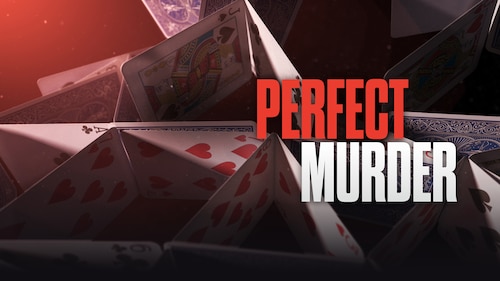 Regarder Perfect Murder | discovery+