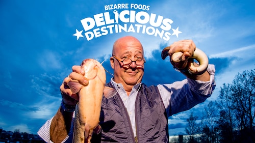 Watch Bizarre Foods: Delicious Destinations | Season 10 Episode 1 | HBO Max