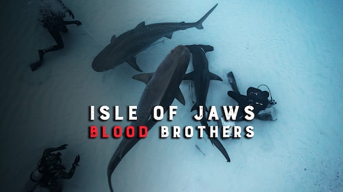 Watch Isle of Jaws: Blood Brothers | HBO Max