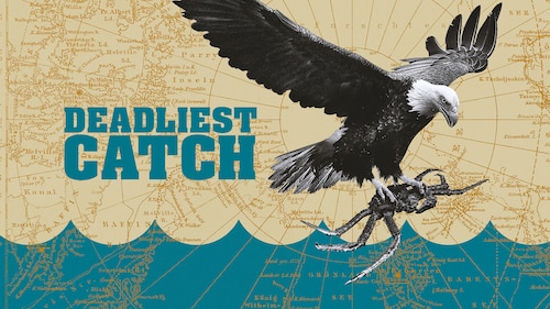 Watch Deadliest Catch | discovery+