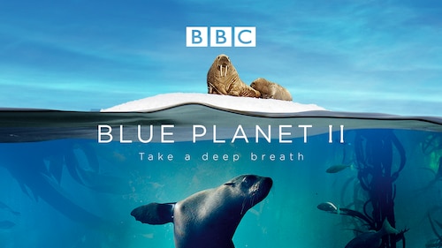 Watch Blue Planet II | discovery+
