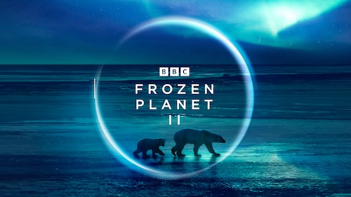 Watch Frozen Planet II | discovery+