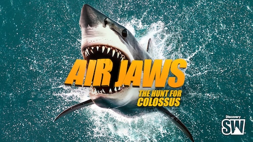 Ver Air Jaws: The Hunt for Colossus | HBO Max