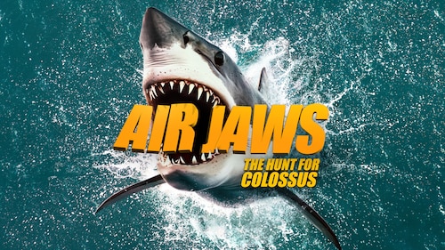 Watch Air Jaws: The Hunt for Colossus | HBO Max
