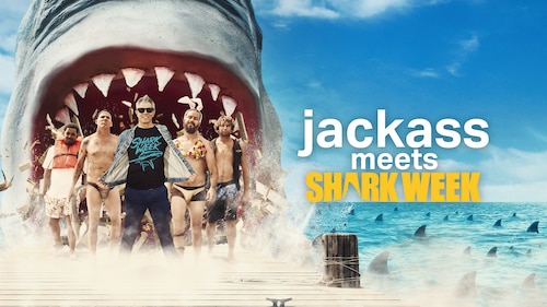 Ansehen Jackass meets Shark Week | discovery+