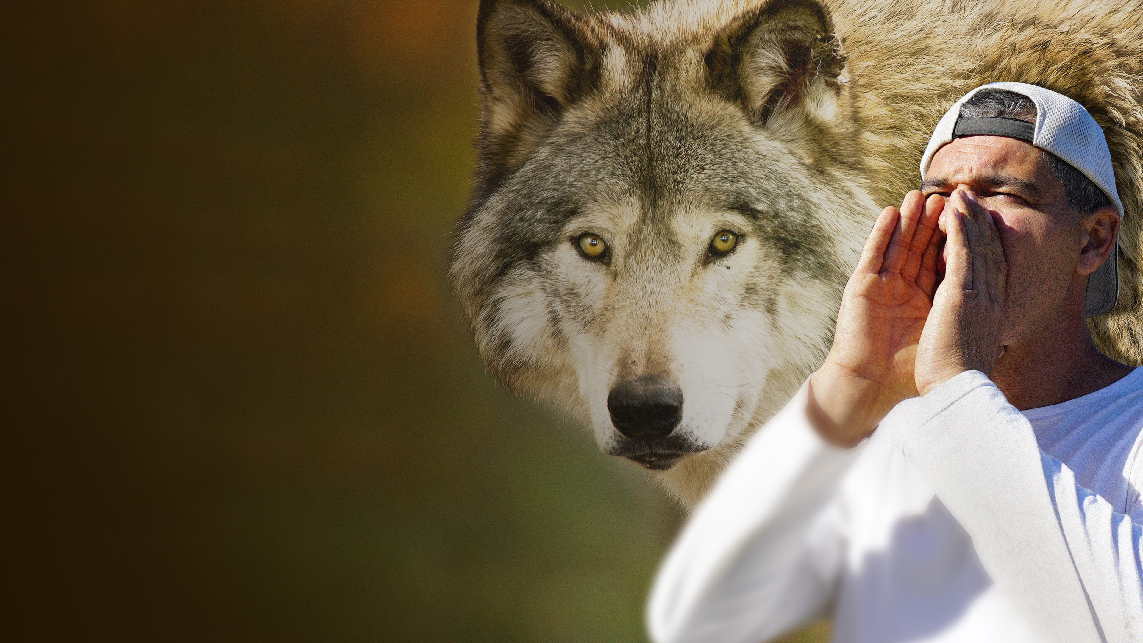 Watch Wild Frank: Lobos | HBO Max