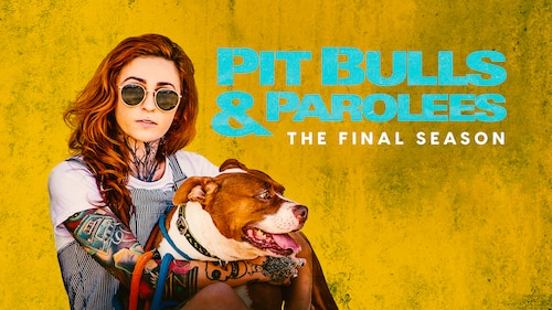 Pit Bulls And Parolees Season 19