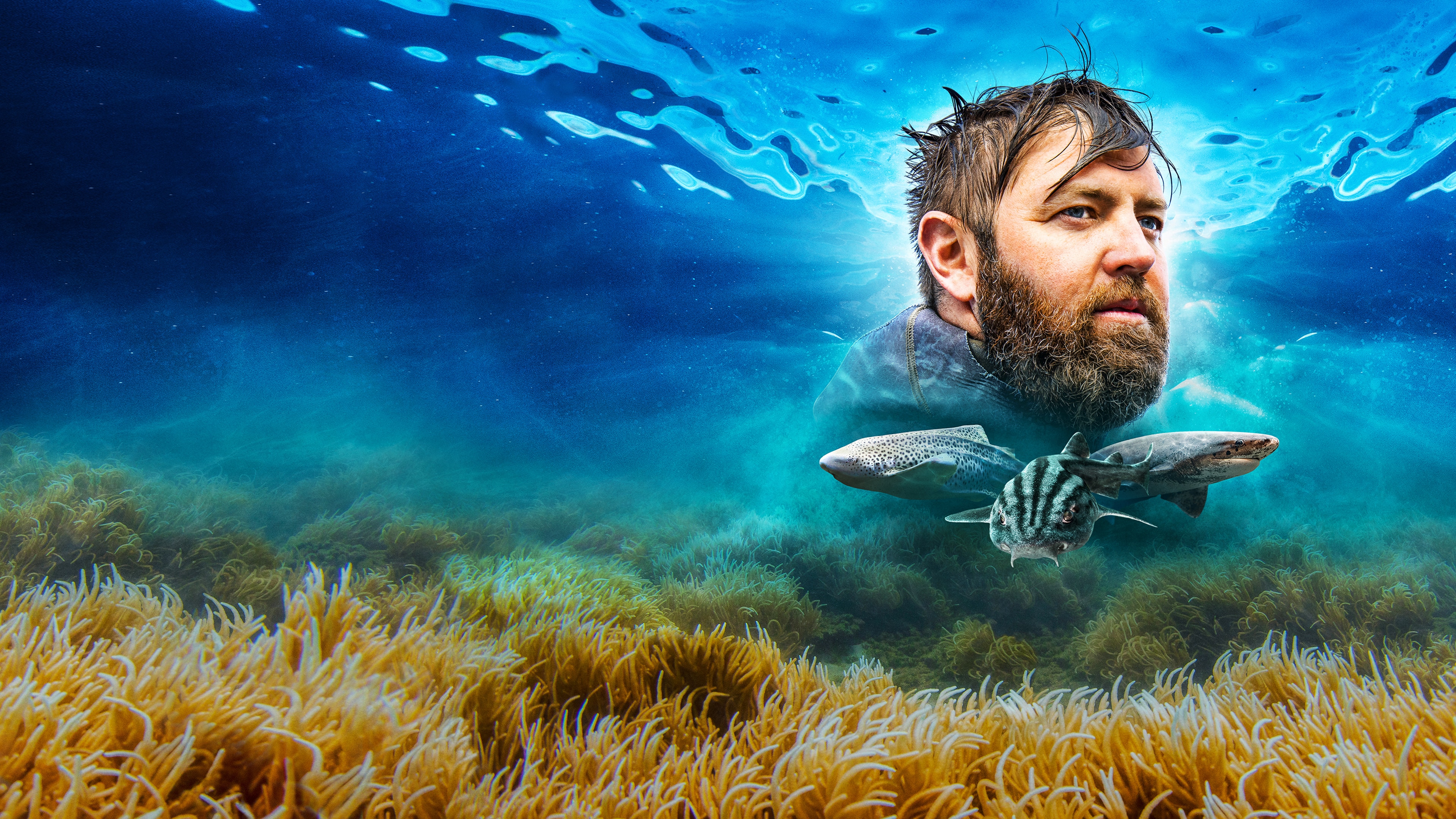 Watch Alien Sharks: Strange New Worlds | HBO Max