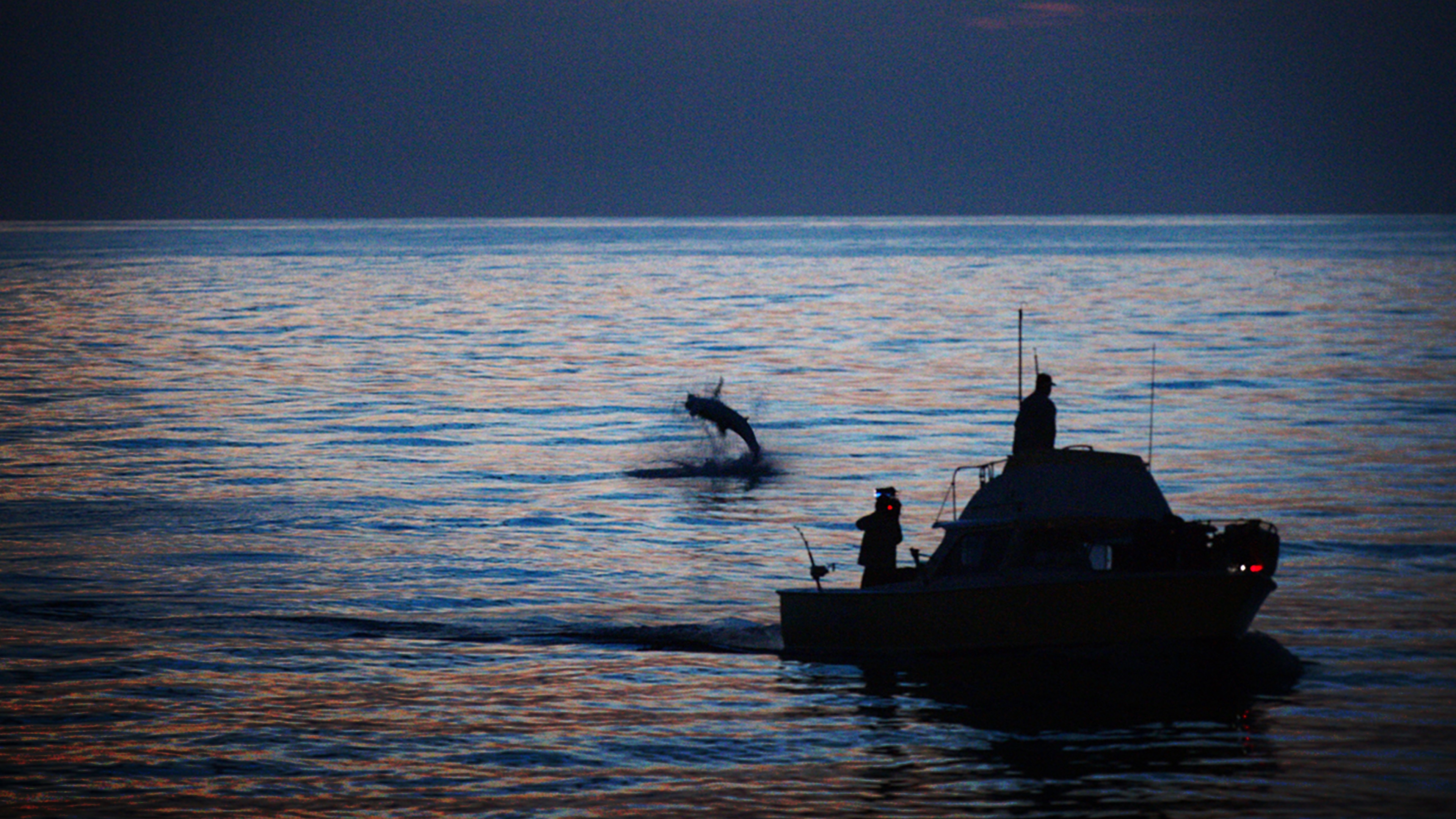 Watch Return of the Monster Mako | HBO Max