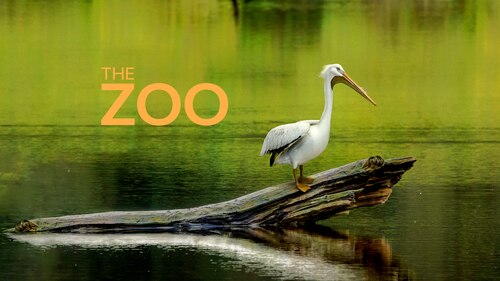 Watch The Zoo | Season 3 Episode 9 | discovery+
