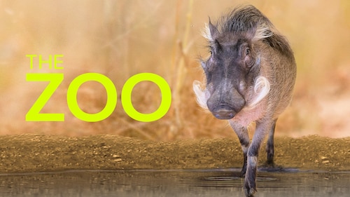 Watch The Zoo | Season 4 Episode 7 | HBO Max