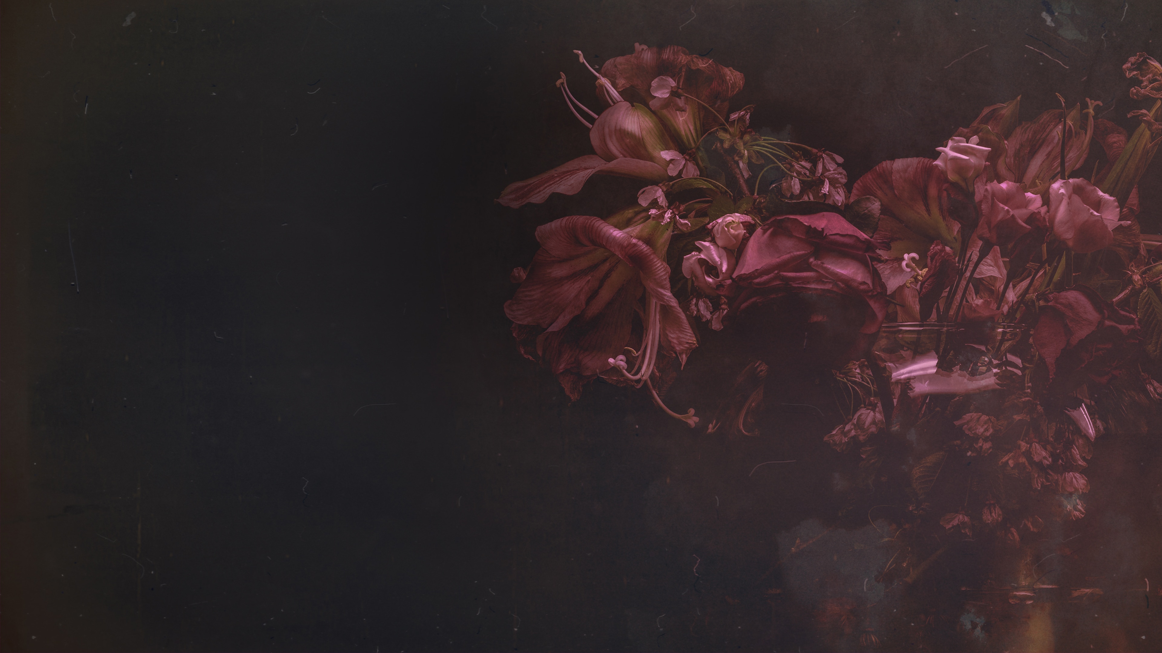 Watch Matriarch of Murder? | HBO Max