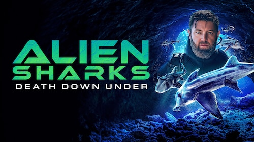 Watch Alien Sharks: Death Down Under | discovery+